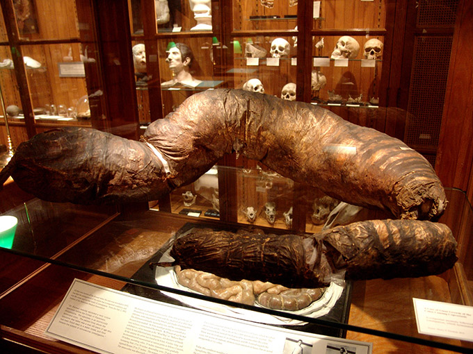 Song of the Week: Beyond the Grave